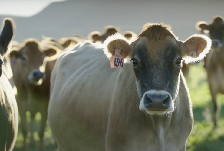The Farm of Eden - Southern Pastures